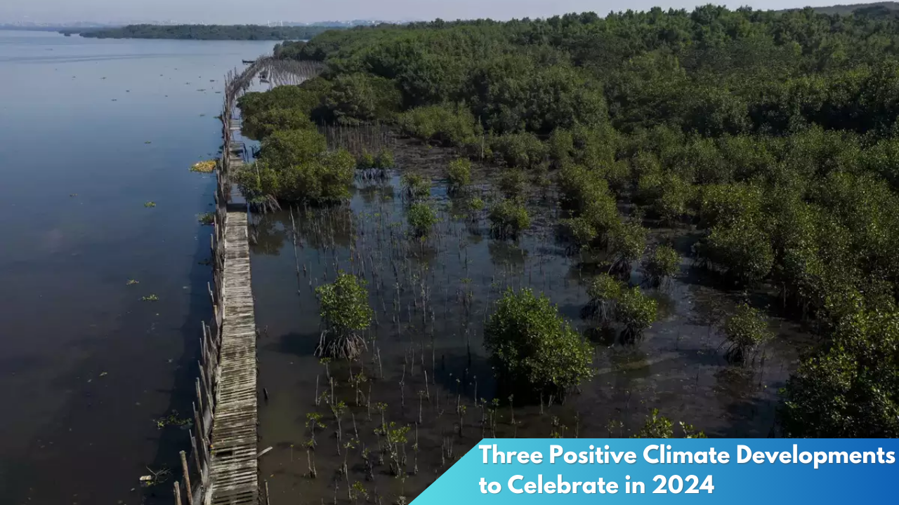 Three Positive Climate Developments to Celebrate in 2024